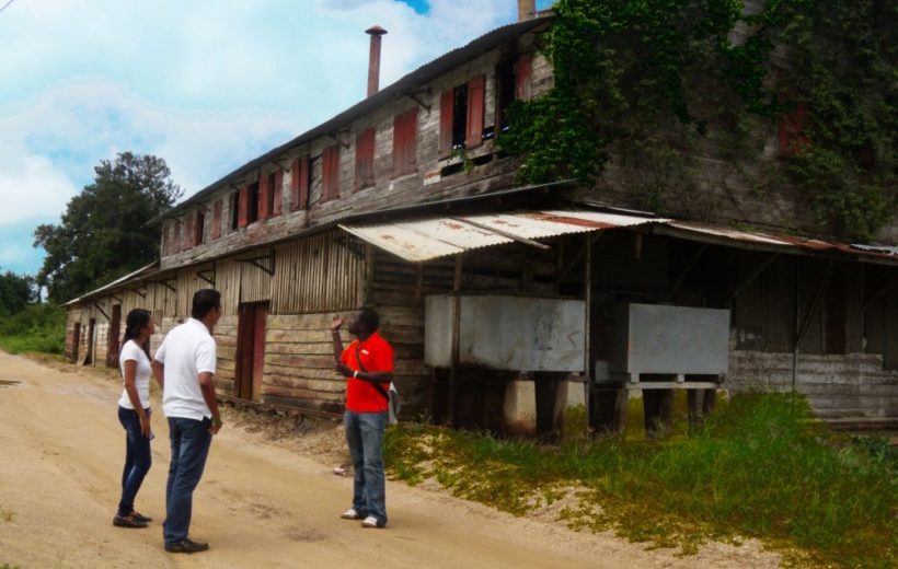 Peperpot Nature Park| Walking Night tour - Impressive Suriname Travel N.V.