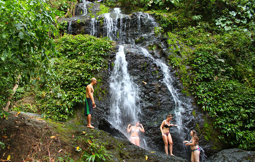 Must Do Suriname Tours in 5 days - Impressive Suriname Travel N.V.