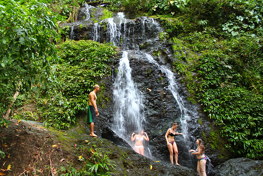 Brownsberg day trip - Impressive Suriname Travel N.V.